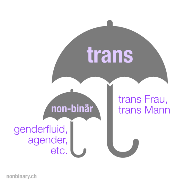 Einstieg in die non-binäre Welt | nonbinary.ch